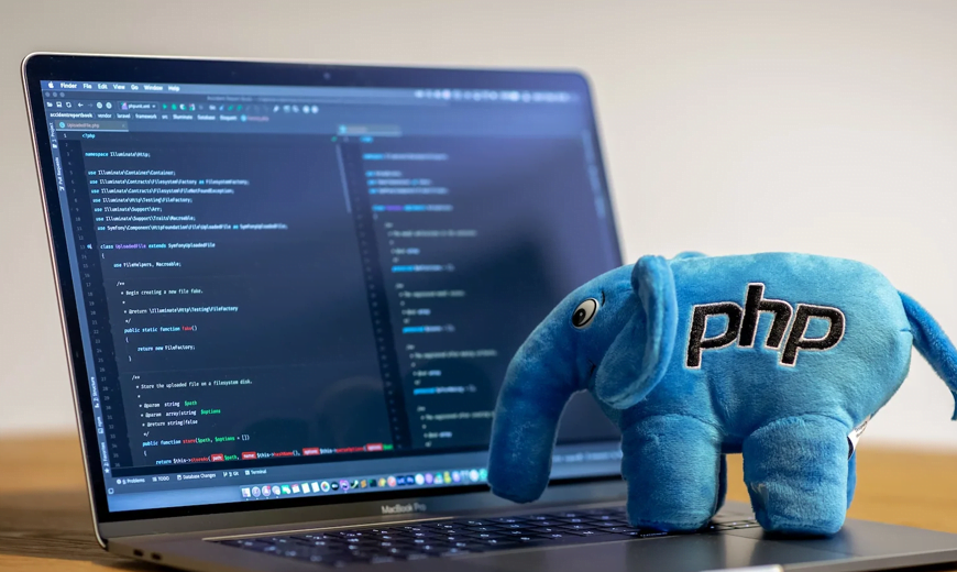 Understanding PHP and Reasons for Its Immense Popularity - Vertient ... Understanding PHP and Reasons for Its Immense Popularity - Vertient ...